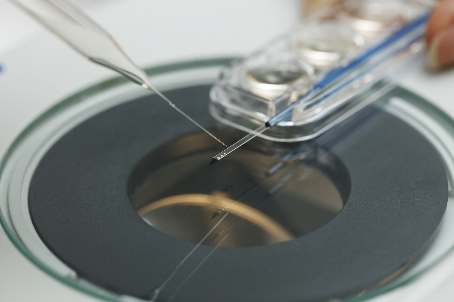 Cryotec | Advanced Cryopreservation Solutions for Oocytes & Embryos