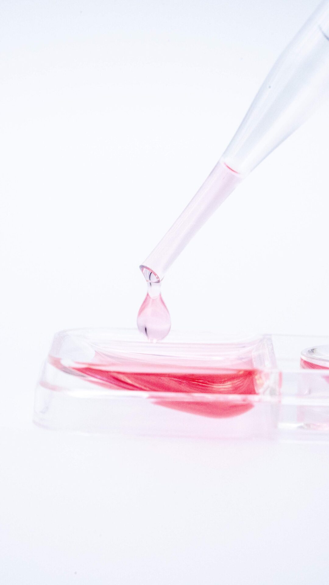 About Cryotec | Pioneering Cryopreservation Solutions by Dr. Kuwayama